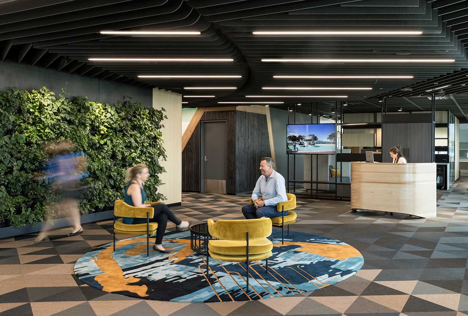 Commercial Projects - Designer Rugs